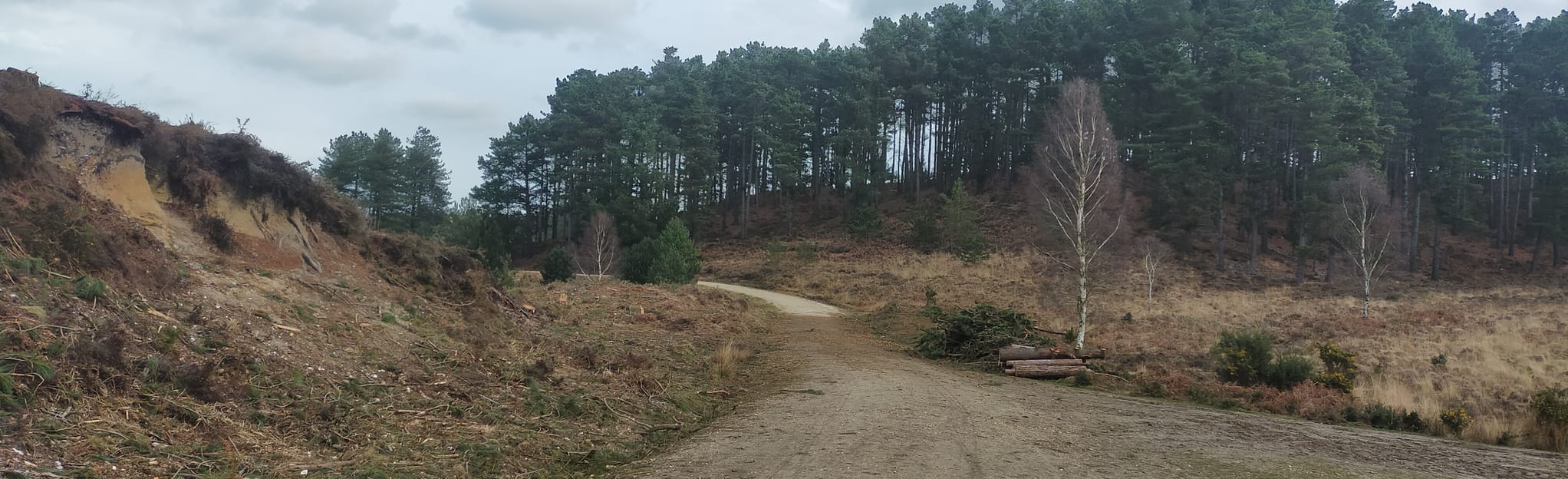 Sika Trail, Birchwood and Hunters Moon, Dorset, England - 36 Reviews ...