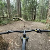Duthie Mountain Bike Park Loop, Washington - 572 Reviews, Map | AllTrails