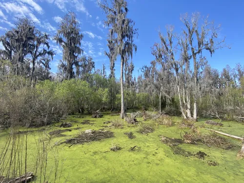 Best Hikes and Trails in Ed Radice Park | AllTrails