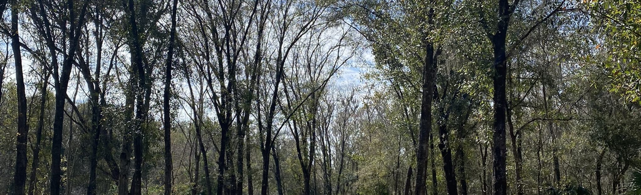 Ed Radice Park Loop, Florida - 26 Reviews, Map | AllTrails