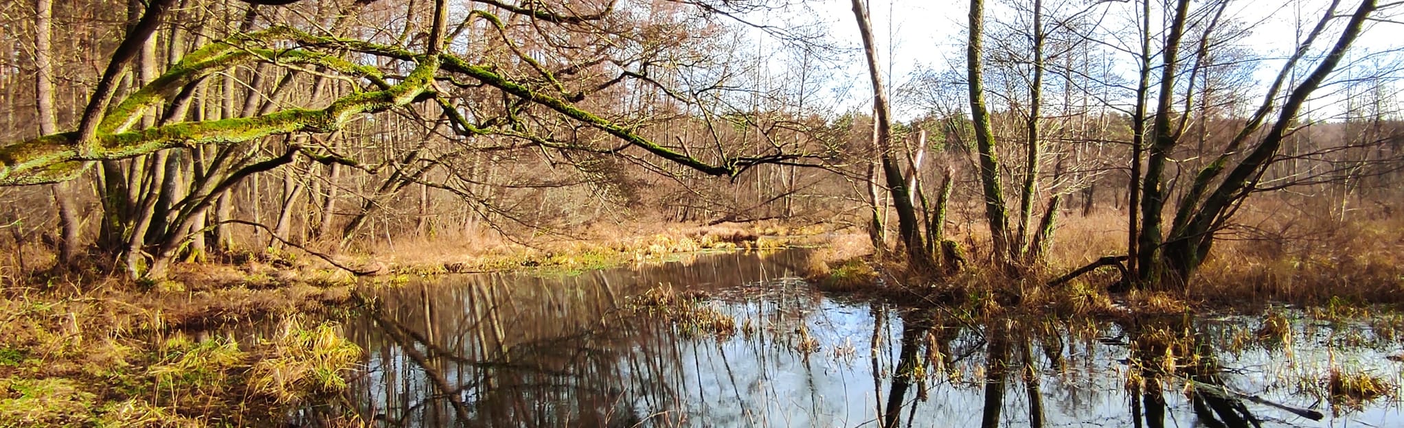 Entlang der Löcknitz von Fangschleuse, Brandeburg, Germany - 4 Reviews ...