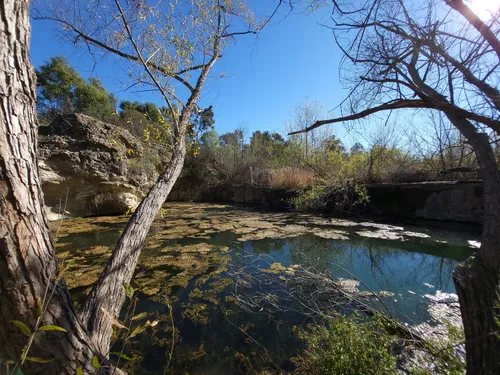 Best Hikes and Trails in Irvine Regional Park | AllTrails