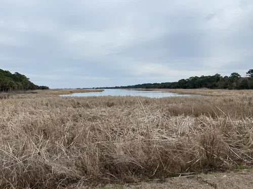 Best Hikes and Trails in Cape Romain National Wildlife Refuge | AllTrails