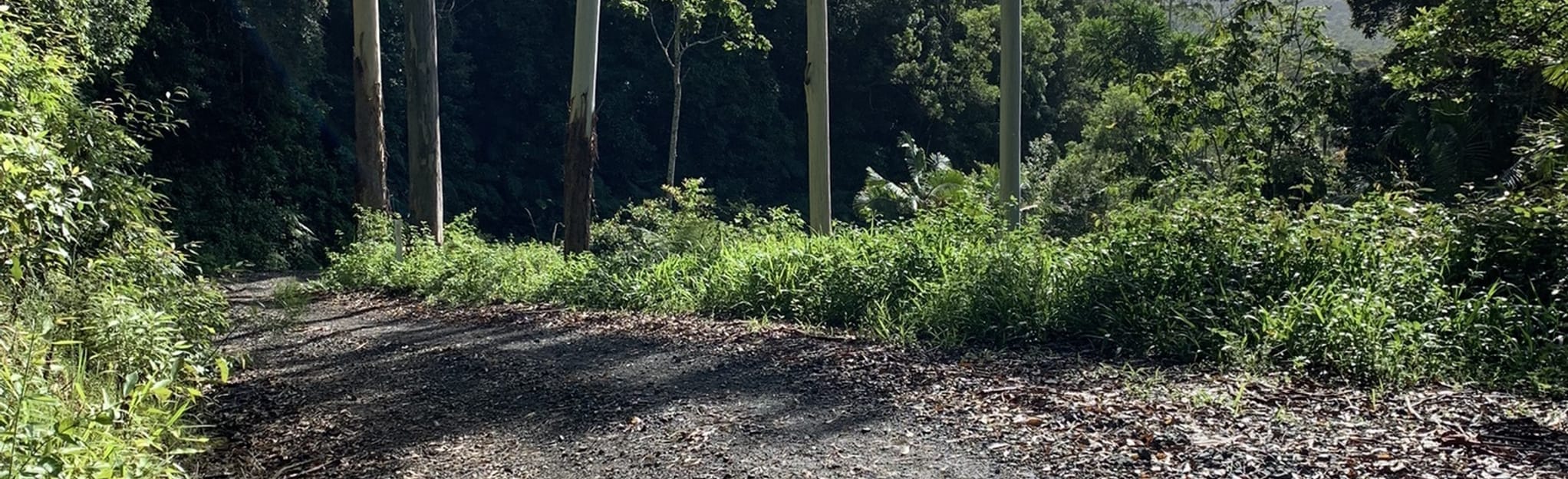 Gum Flat Road: 5 Reviews, Map - New South Wales, Australia | AllTrails