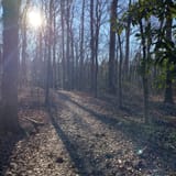 Lake Herrick and Herrick Creek Loop, Georgia - 382 Reviews, Map | AllTrails