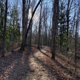 Lake Herrick and Herrick Creek Loop, Georgia - 382 Reviews, Map | AllTrails