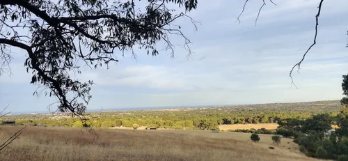 Best Hikes and Trails in Tangari Regional Park | AllTrails