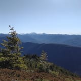 Mount Muller Trail, Washington - 190 Reviews, Map | AllTrails