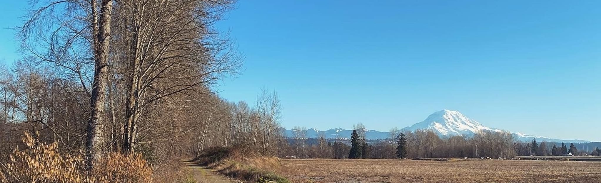 Puyallup Riverwalk Trail - Washington | AllTrails