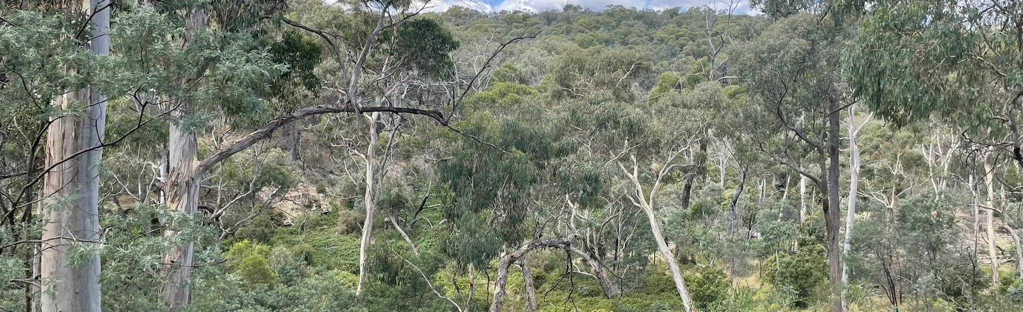 Tipperary Spring via Blowhole Circuit [CLOSED], Victoria, Australia ...