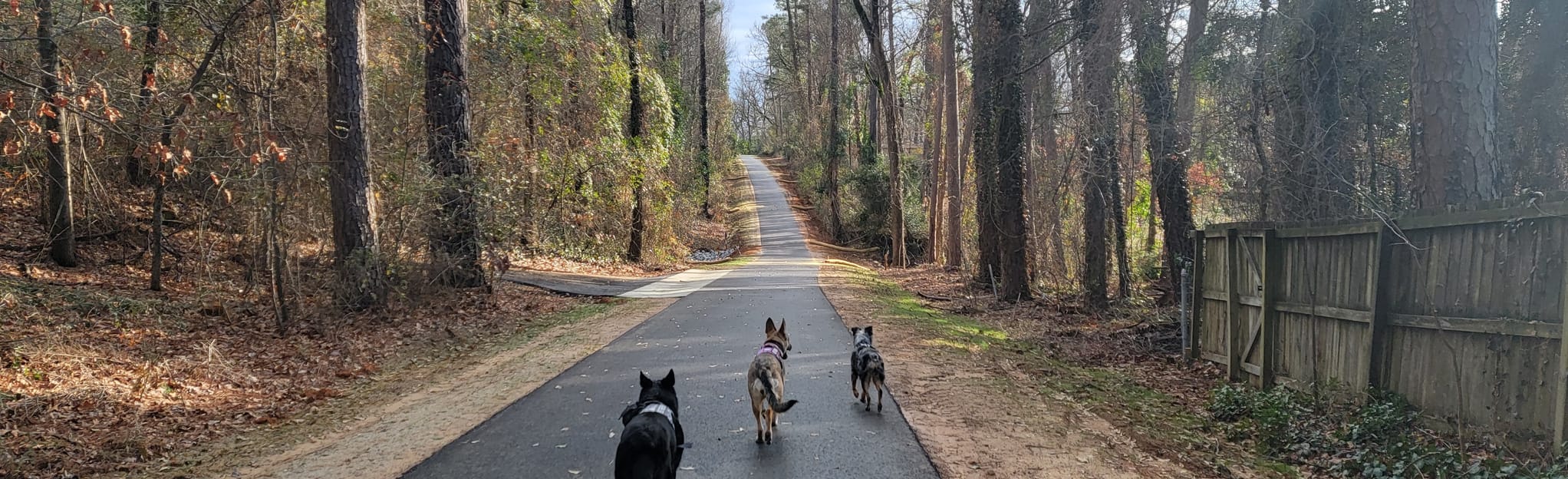 Cargill Park Trail, Texas - 176 Reviews, Map | AllTrails