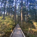 Grand Ridge Park Trail, Washington - 397 Reviews, Map | AllTrails