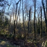 Grand Ridge Park Trail, Washington - 397 Reviews, Map | AllTrails