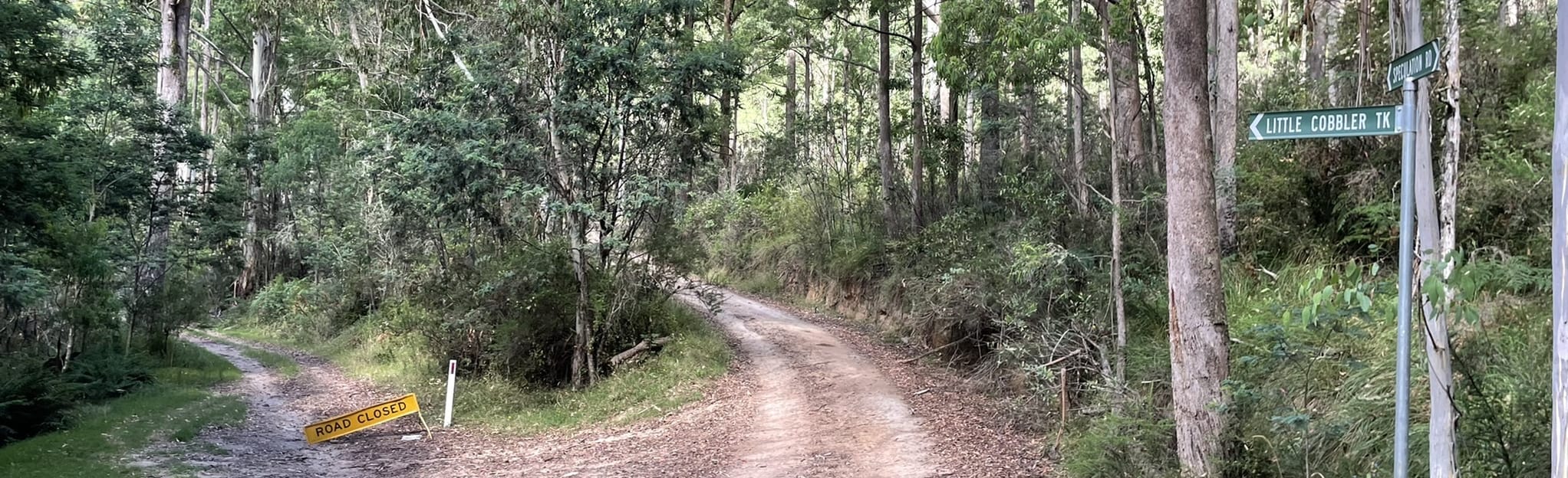 Mount Cobbler Walking Track to King Hut, Victoria, Australia - 7 ...
