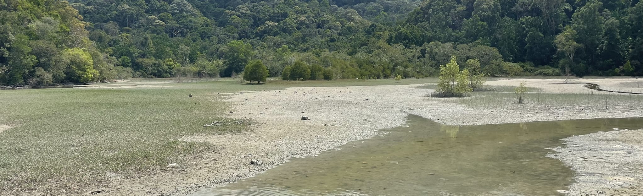 Teluk Bahang - Pantai Kerachut Loop, Penang, Malaysia - 18 Reviews, Map ...