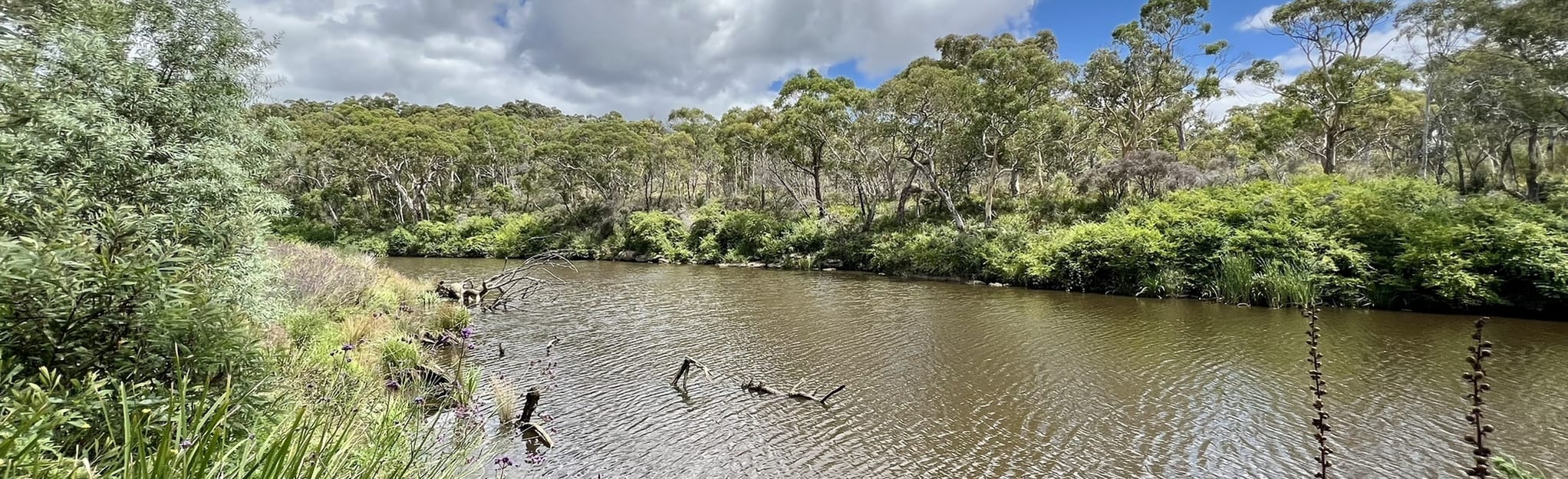 Berrima River Walk [CLOSED]: 65 Reviews, Map - New South Wales ...