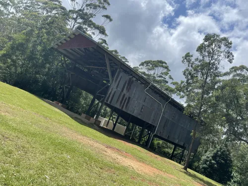 10 Best Trails and Hikes in Mount Mee | AllTrails