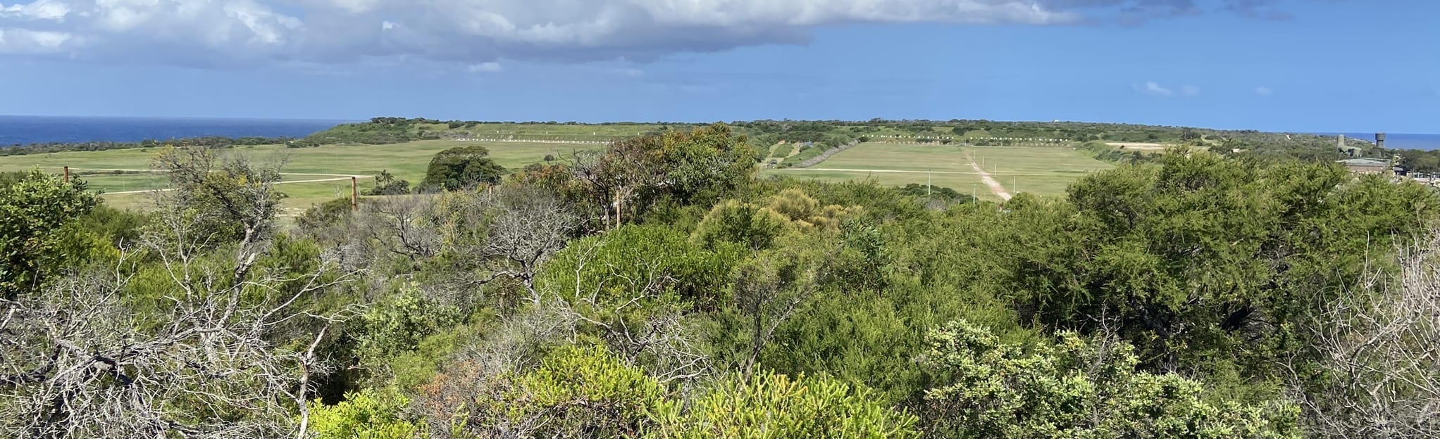 Malabar Headlands Track, New South Wales, Australia - 508 Reviews, Map ...