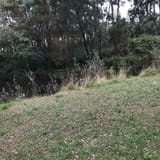 Campaspe River Walk, Victoria, Australia - 332 Reviews, Map | AllTrails
