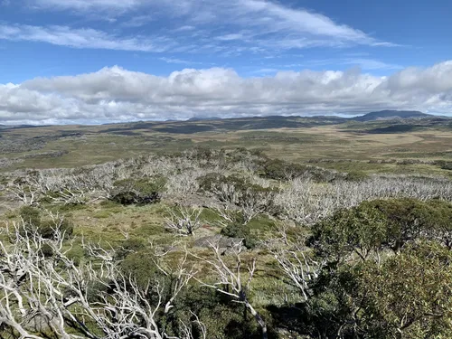 Best Kid Friendly Trails in Alpine National Park | AllTrails