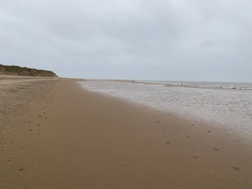 Best Hikes and Trails in Sandscale Haws Nature Reserve | AllTrails