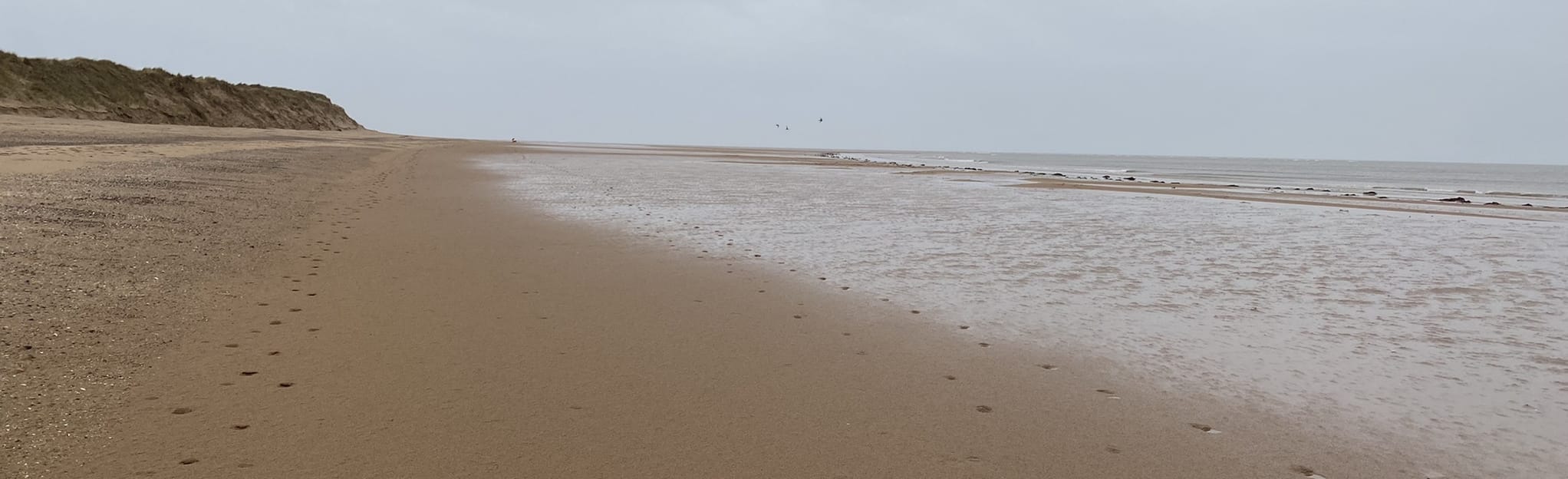 Sandscale Haws Nature Reserve Circular, Cumbria, England - 30 Reviews ...