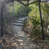 Jamanota Trail, Aruba, Aruba - 54 Reviews, Map | AllTrails