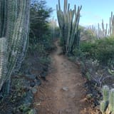 Jamanota Trail, Aruba, Aruba - 54 Reviews, Map | AllTrails