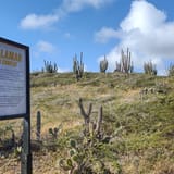 Jamanota Trail, Aruba, Aruba - 54 Reviews, Map | AllTrails