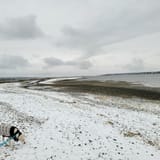 Fogland Beach, Rhode Island - 41 Reviews, Map | AllTrails