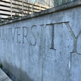 Rice University Running Trail, Texas - 535 Reviews, Map | AllTrails