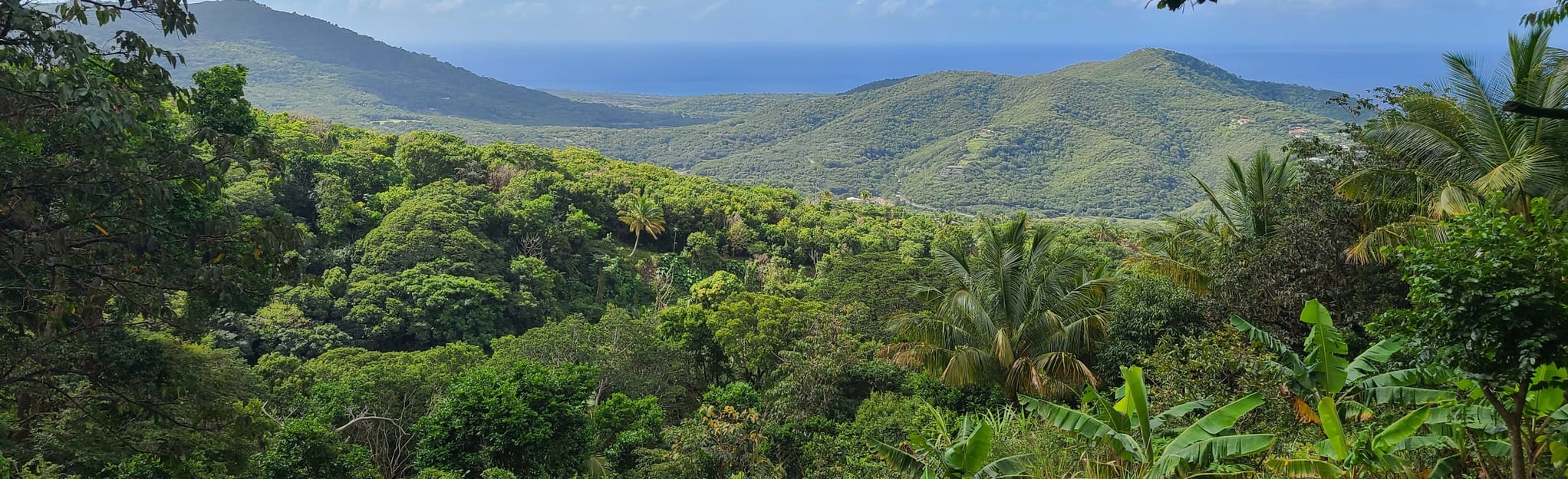 The Cot Circular | Map, Guide - Saint Peter, Montserrat | AllTrails