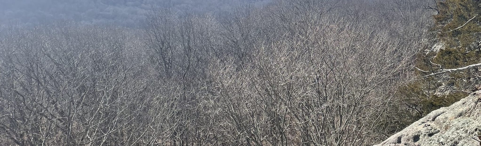 Cedar Bluff Climber's Access Trail: 21 Reviews, Map - Illinois | AllTrails