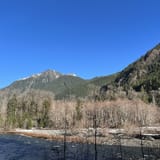 Shady Lane Trail, Washington - 161 Reviews, Map | AllTrails