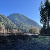 Shady Lane Trail, Washington - 161 Reviews, Map | AllTrails