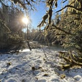 Shady Lane Trail, Washington - 161 Reviews, Map | AllTrails