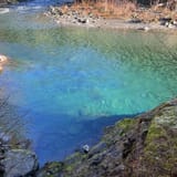 Shady Lane Trail, Washington - 161 Reviews, Map | AllTrails