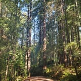 Rohner Park Loop, California - 181 Reviews, Map | AllTrails