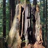 Rohner Park Loop, California - 217 Reviews, Map | AllTrails