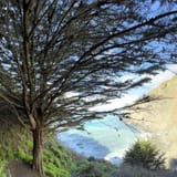 Ragged Point Inn Trail, California - 166 Reviews, Map | AllTrails