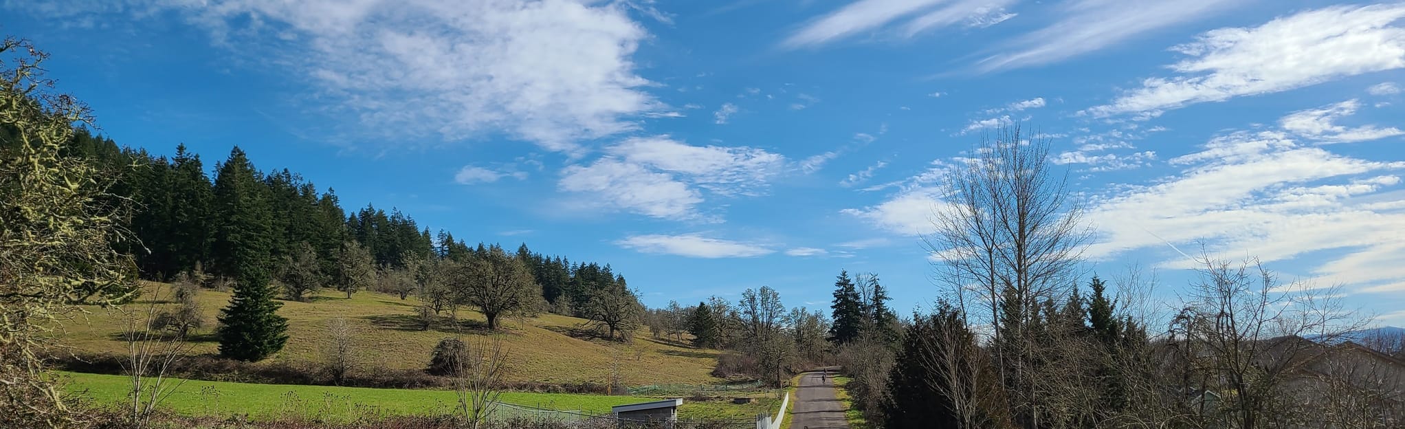 Camas Crest Trail, 123 Fotos - Oregon | AllTrails