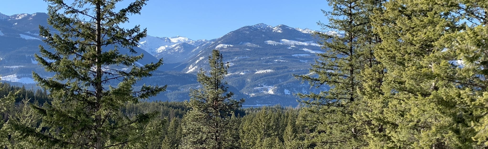 Fraser Hill Viewpoint Trail, British Columbia, Canada - 6 Reviews, Map ...