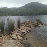 Tullah Lakeside Walk, Tasmania, Australia - 25 Reviews, Map | AllTrails