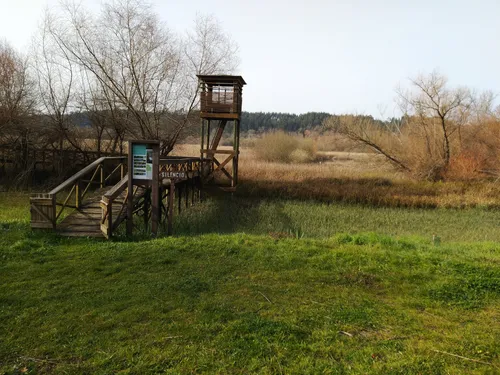 Best Hikes and Trails in Reserva Natural do Paul de Arzila | AllTrails