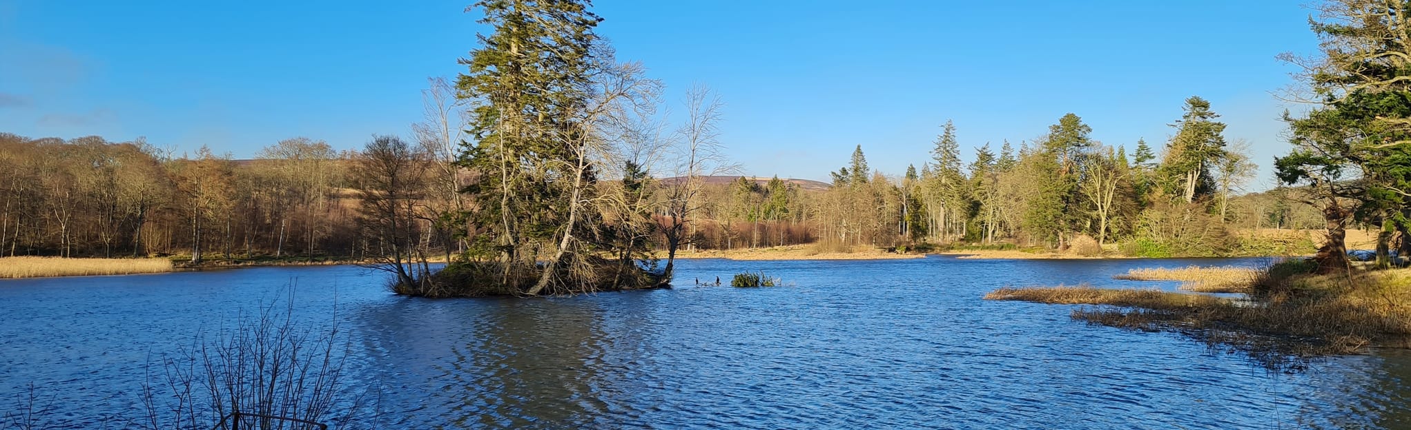 Fettercairn and Fasque Estate Circular: 12 Reviews, Map - Aberdeenshire ...