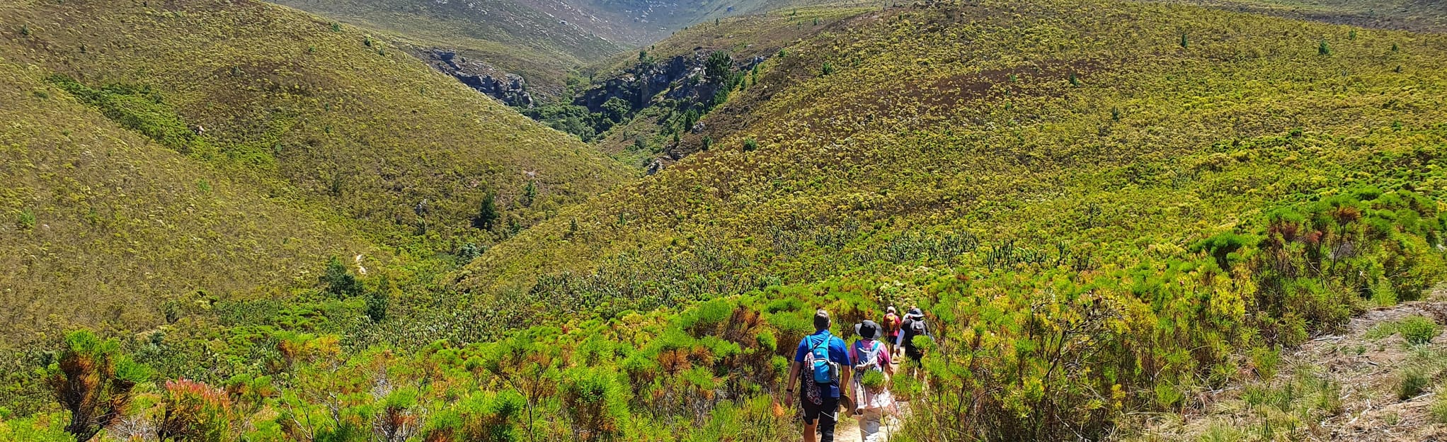 Hermanus Camino Day 1, Western Cape, South Africa - 2 Reviews, Map ...