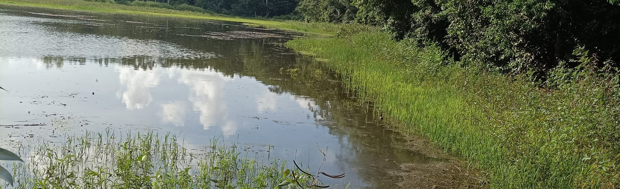 Karihani Lake: 3 foto - Mayotte | AllTrails