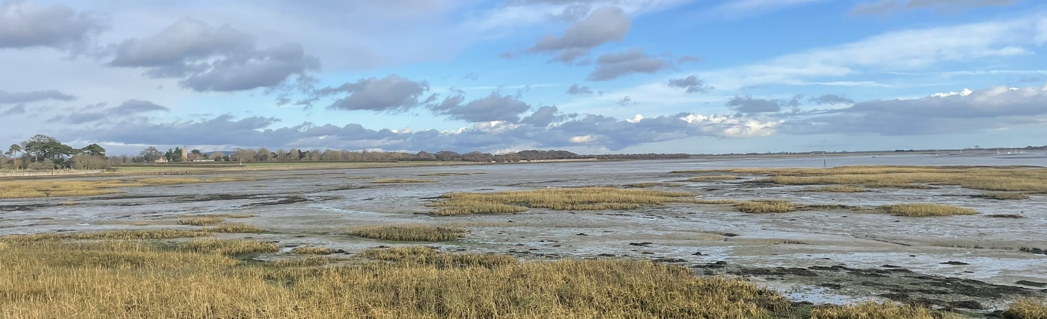 Hayling Billy Walk, Hampshire, England - 48 Reviews, Map | AllTrails