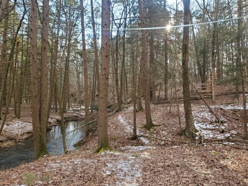 Best Hikes and Trails in Stone Valley Recreation Area | AllTrails