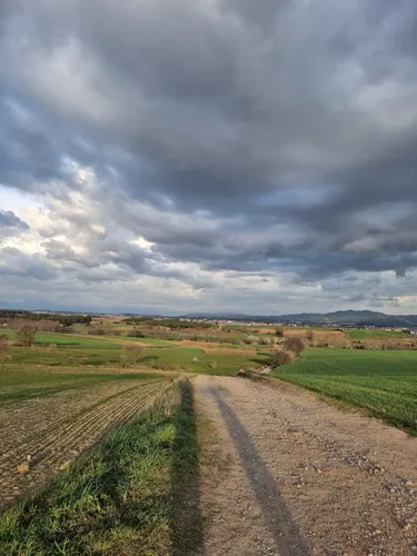 Best Forest Trails in Espai Rural de Gallecs | AllTrails